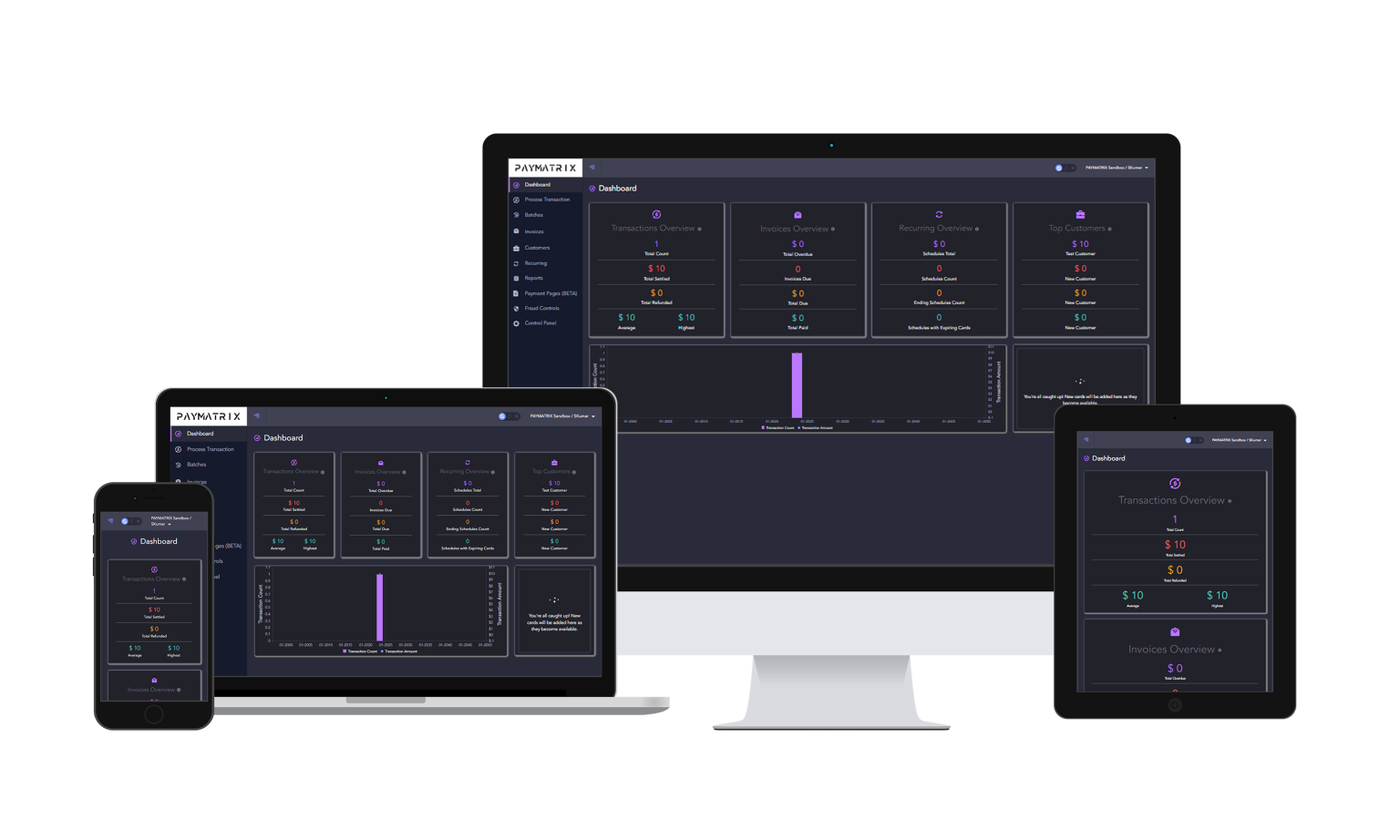 PayMatrix - Empowering Businesses with Seamless Payment Solutions